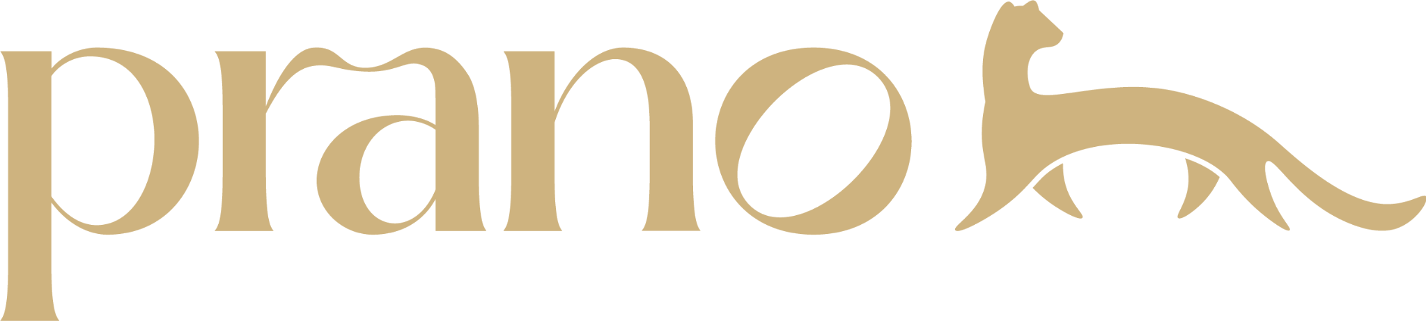 Prano — преміум хімчистка у Львові | Послуги хімчистки, ремонту взуття ...